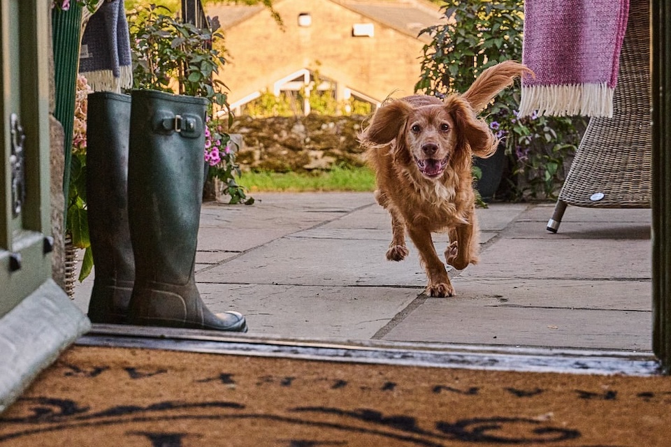Dog-friendly Pubs | 16 of the best in Yorkshire