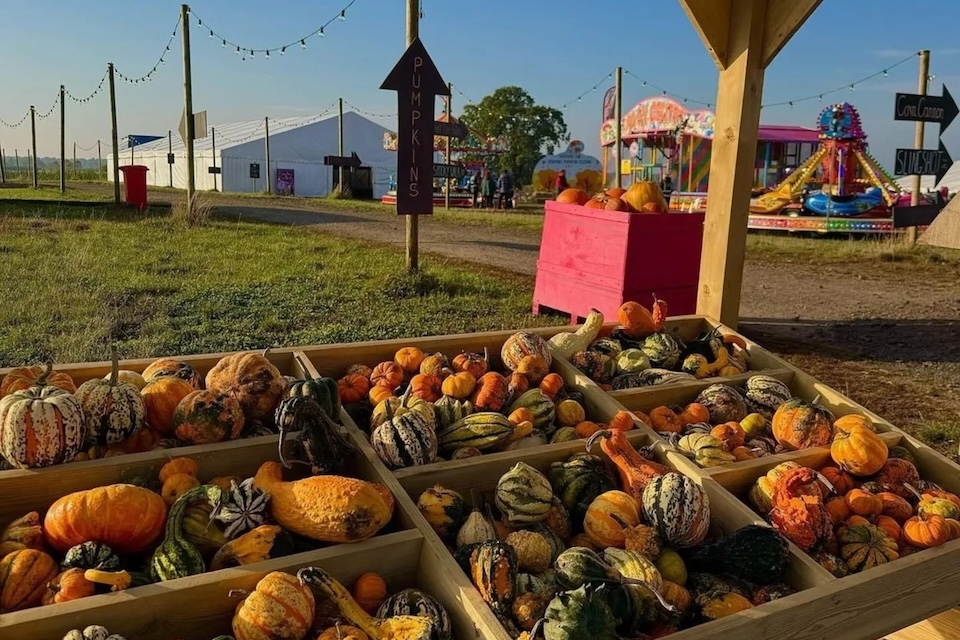 Best Pumpkin Picking destinations in Yorkshire